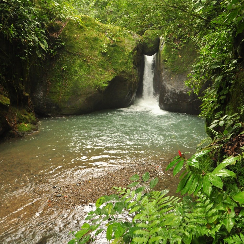 Mon aventure au Costa-Rica, dépaysement à Ojochal