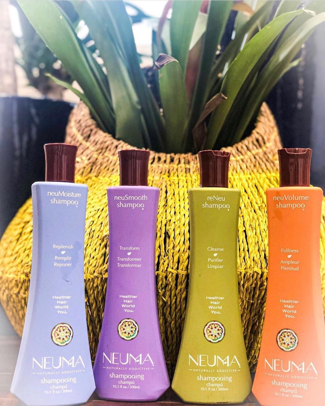 Neuma: des produits capillaires végans - Blog And The City